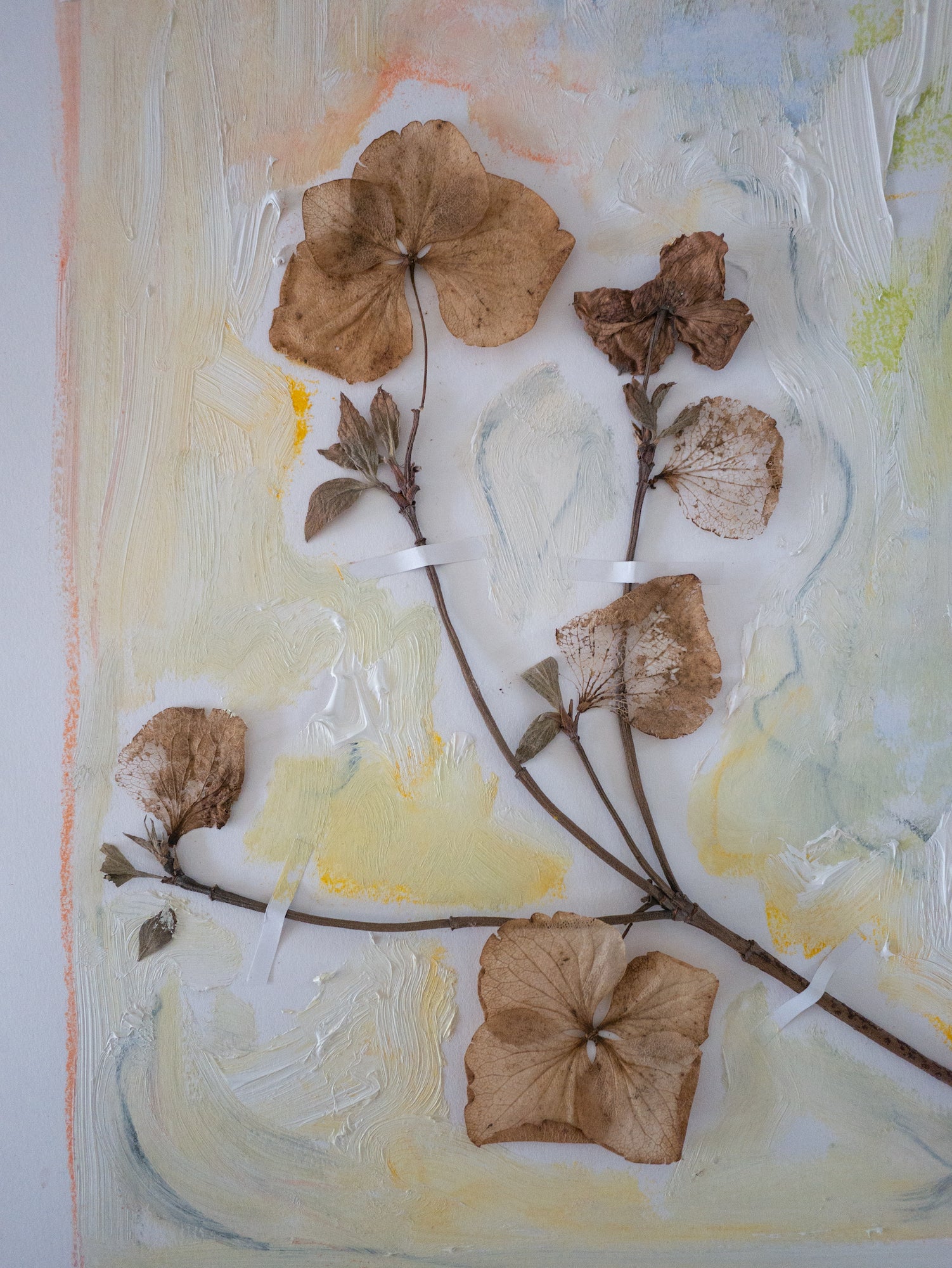 Our Artist Collaborations – La-Eva Ltd